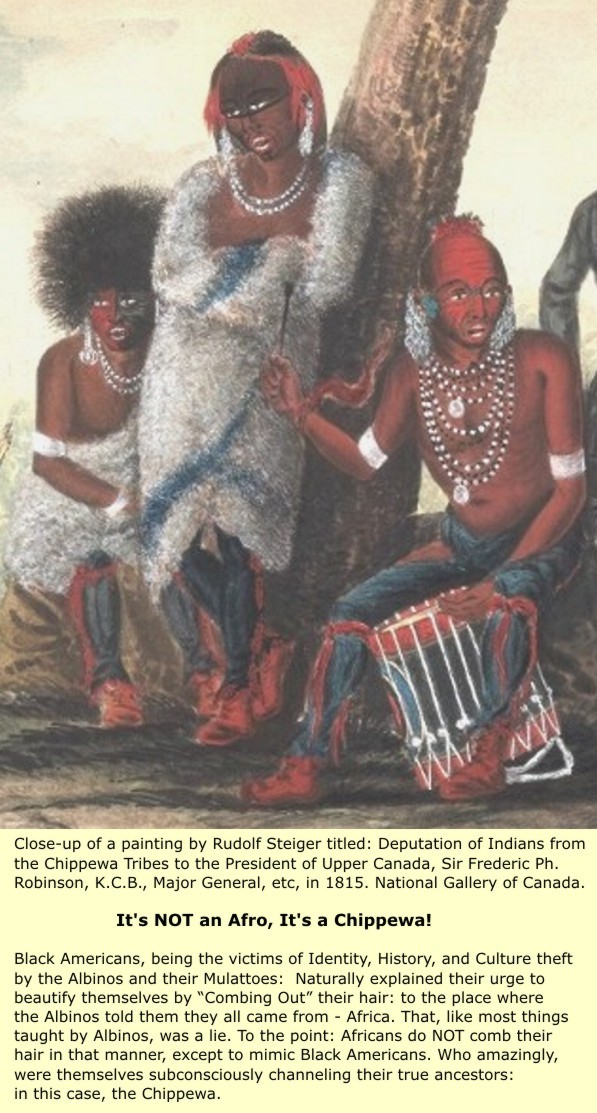Indian Phenotypes