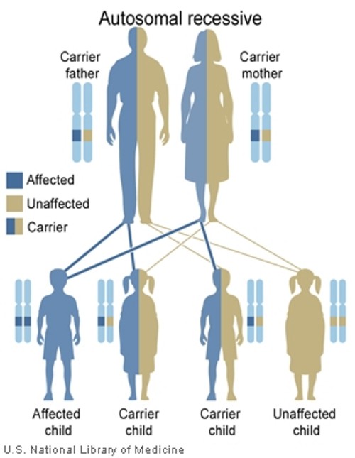 National Geographic - Still Lying