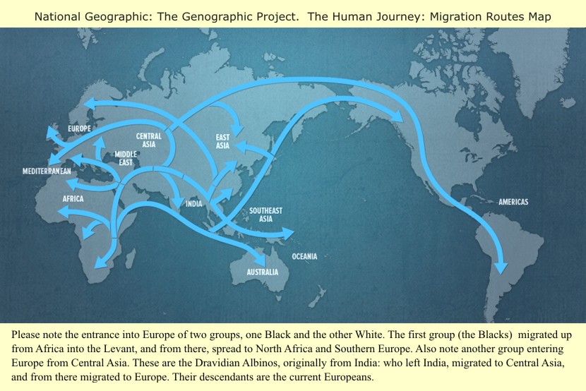 The Real History of White People